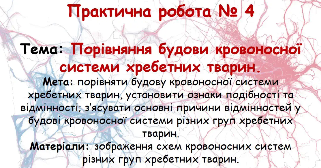 Практична робота №4 Порівняння будови кровоносної системи хребетних тварин Презентація Біологія