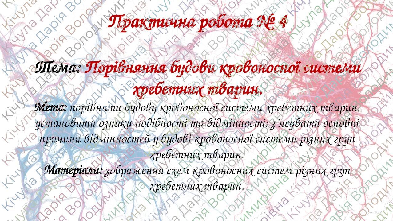 Практична робота №4 Порівняння будови кровоносної системи хребетних тварин Презентація Біологія