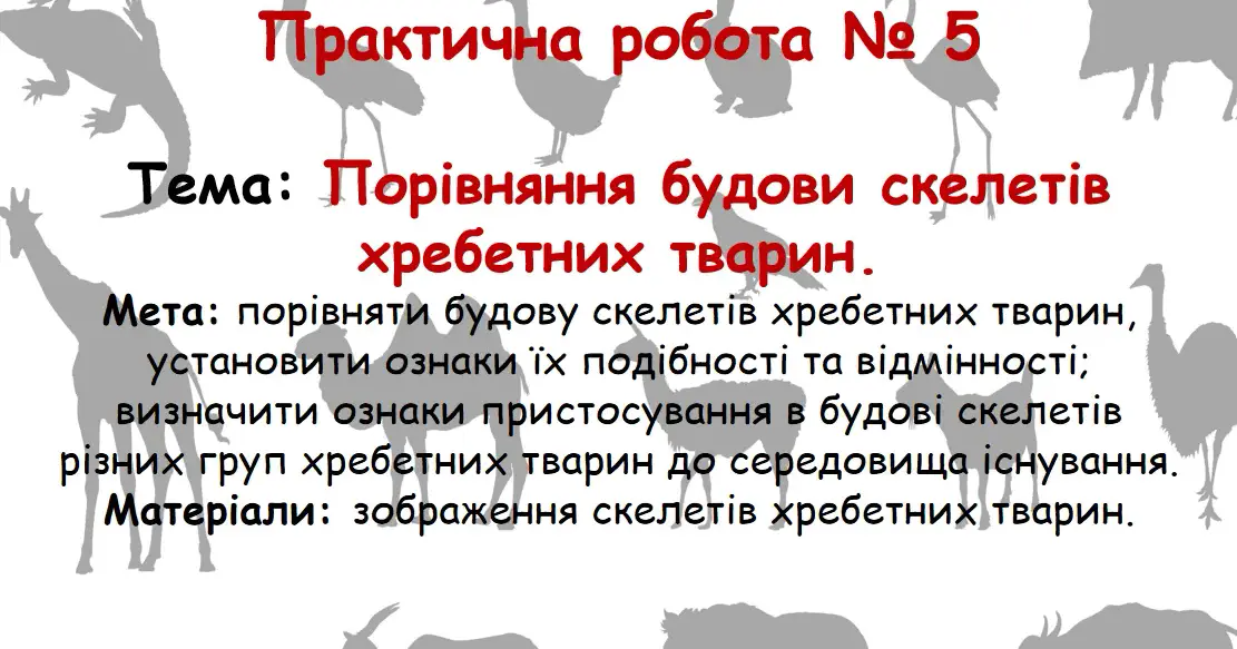 Практична робота №5 Порівняння будови скелетів хребетних тварин Презентація Біологія