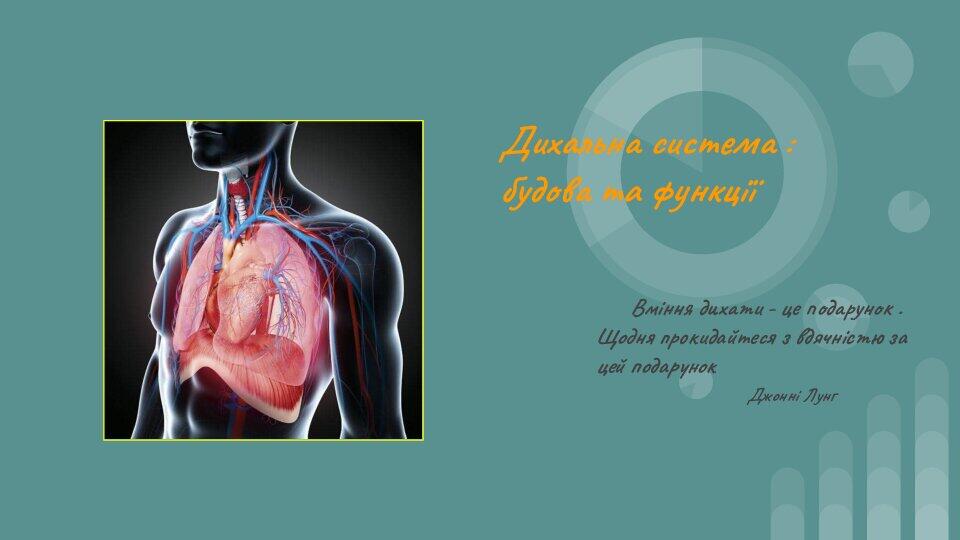 Презентація „ Дихальна система : будова та функції ” | Презентація ...