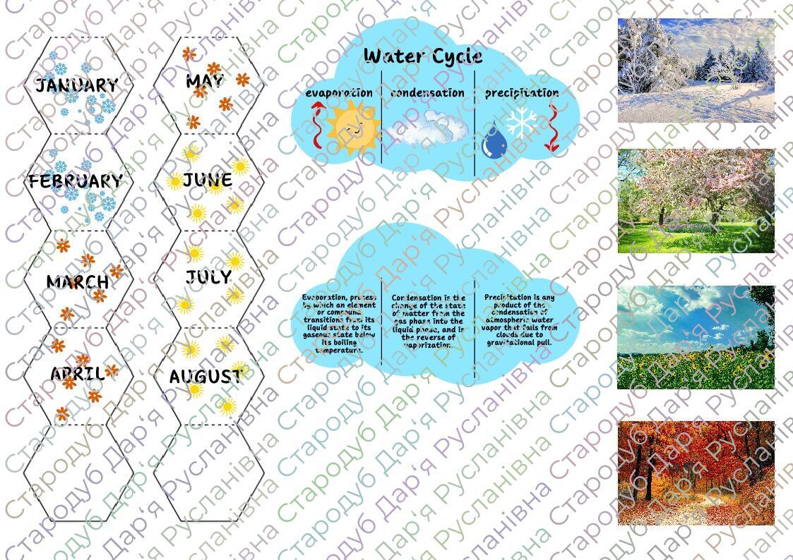 Lapbook Лепбук "Weather. Seasons" | . Різне