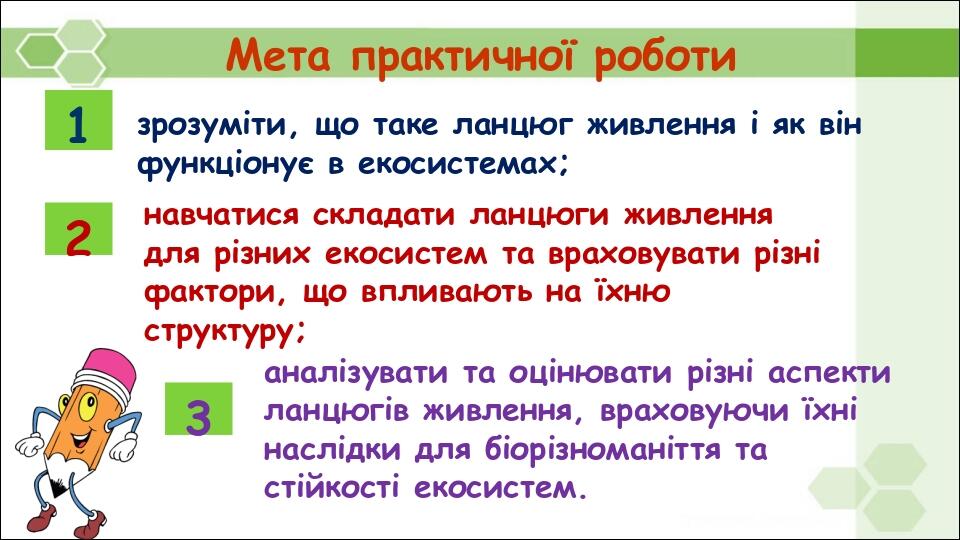 Практична робота Складання ланцюгів живлення 6 клас НУШ Презентація Пізнаємо природу
