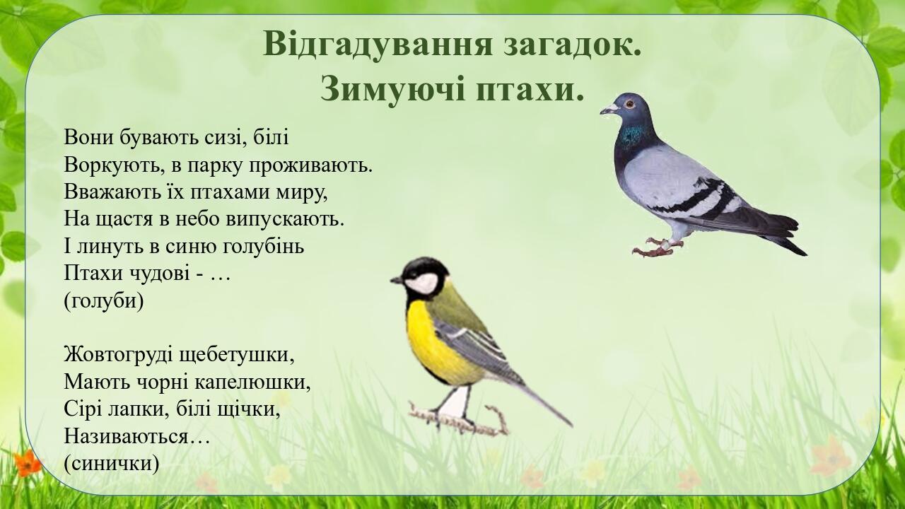 1 квітня міжнародний день птахів Презентація Дошкільна освіта