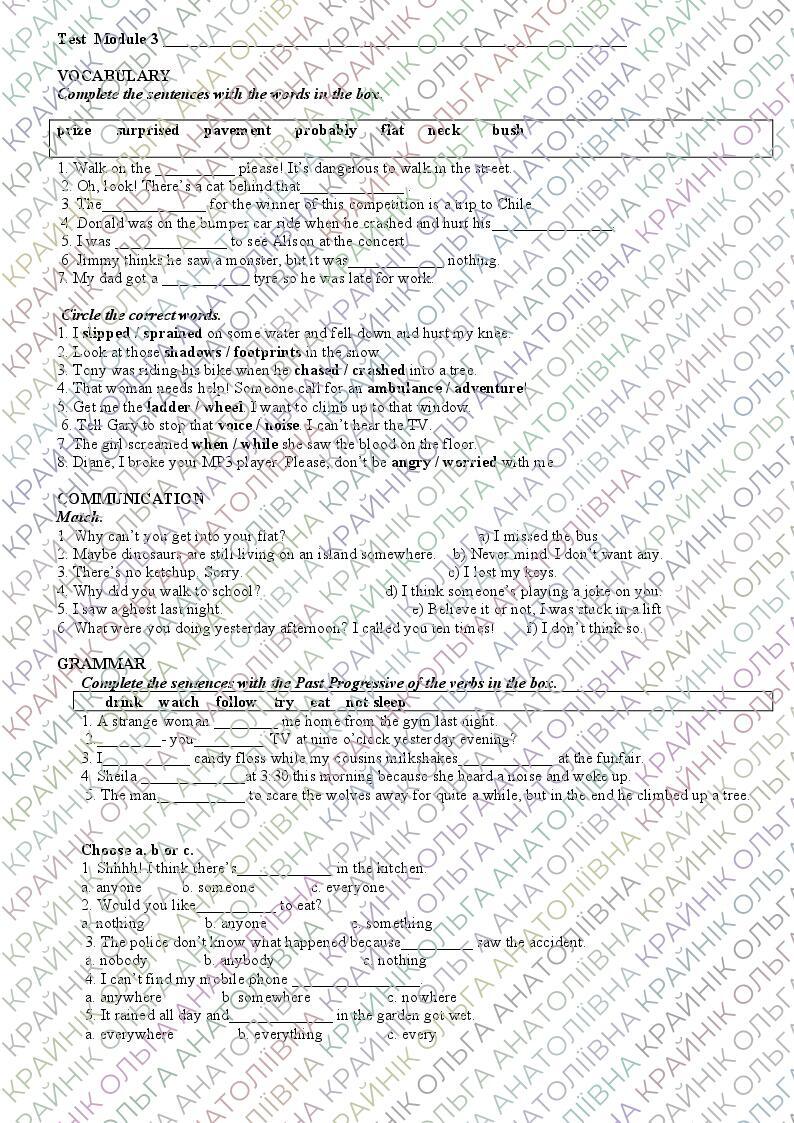 Комплексний тест №3 / Тестування на тему "Adventure" Full Blast 6 Module 3 | Тест. Англійська мова