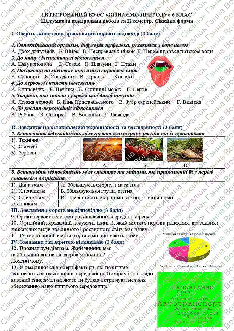 Підсумкова контрольна діагностична робота за ІІ семестр Сімейна форма Пізнаємо природу 6