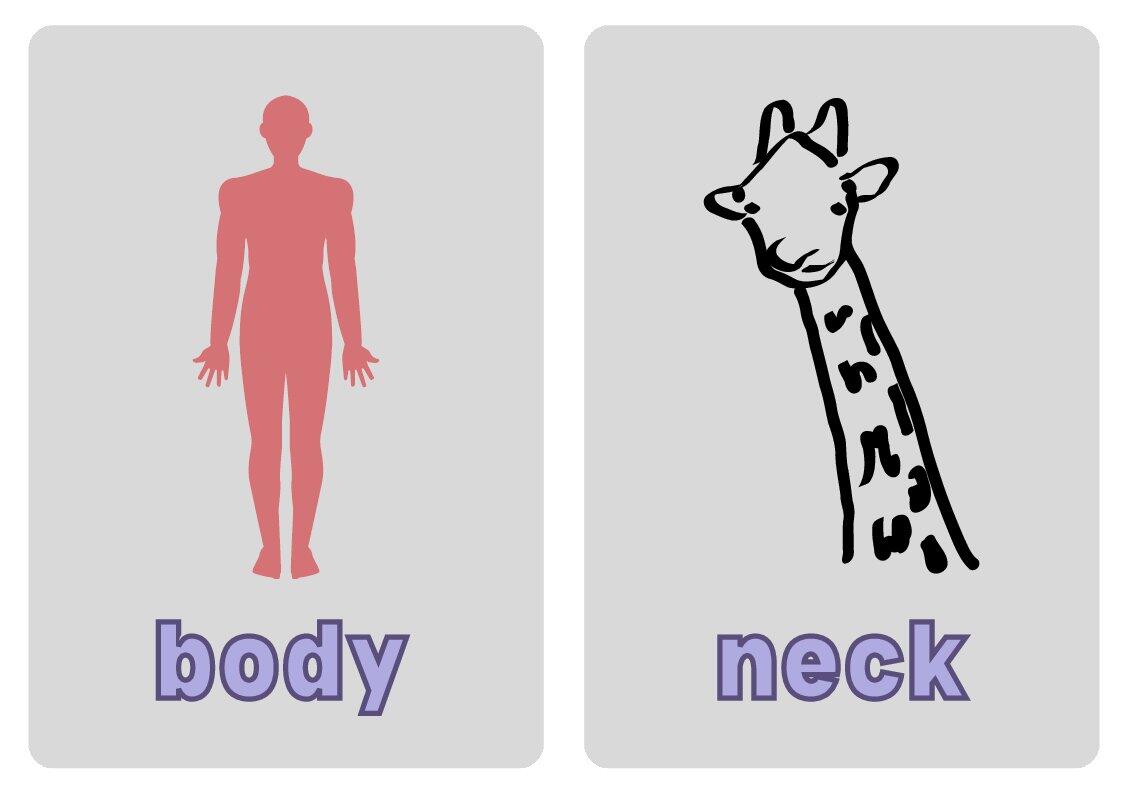 Презентація "Body parts" 2 клас | . Англійська мова