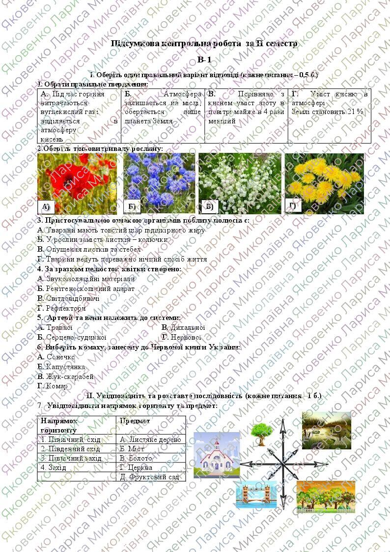 Підсумкова контрольна робота за ІІ семестр Пізнаємо природу 5 клас