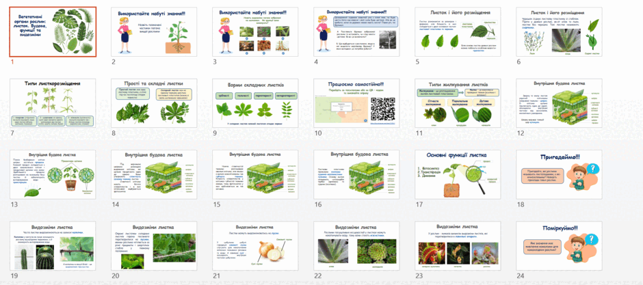 Презентація "Вегетативні органи рослин: листок. Будова, функції та ...
