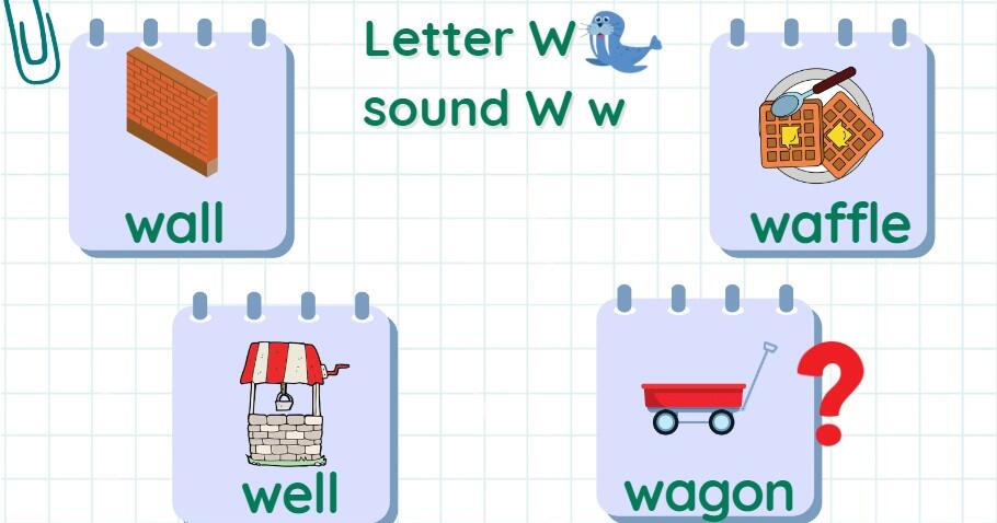 STREAM ABC Lesson 80: Exploring More with the Letter W | Інтерактивні ...