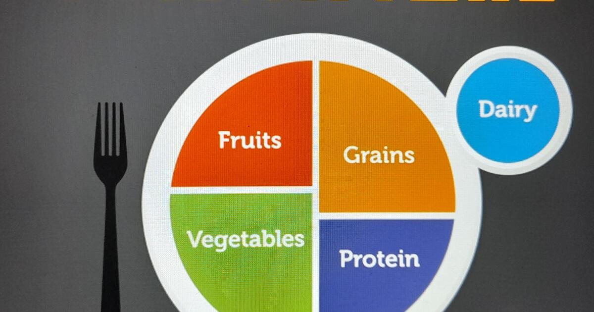 Презентація з теми: "Food. My plate" | Презентація. Англійська мова