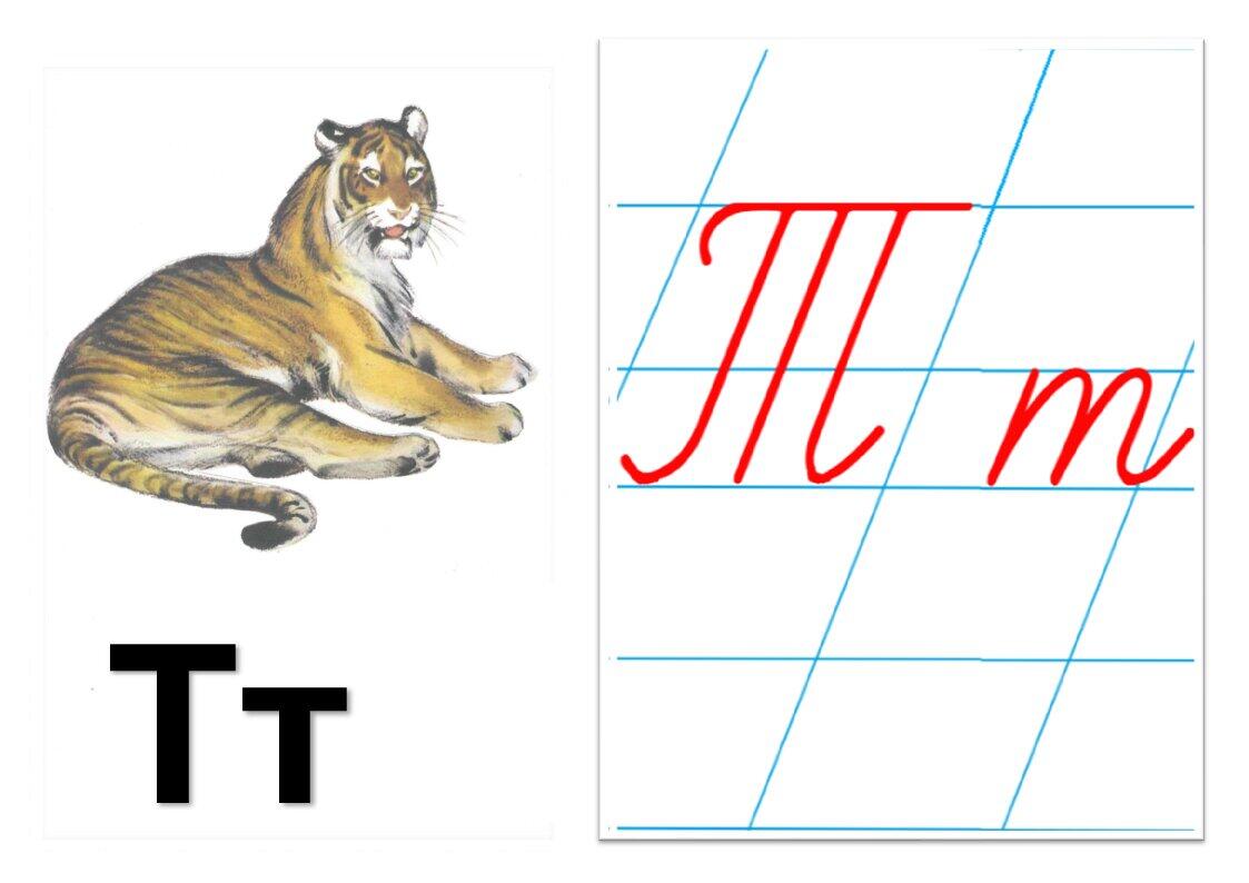 Картки для вивчення букв українського алфавіту (друковані + рукописні ...
