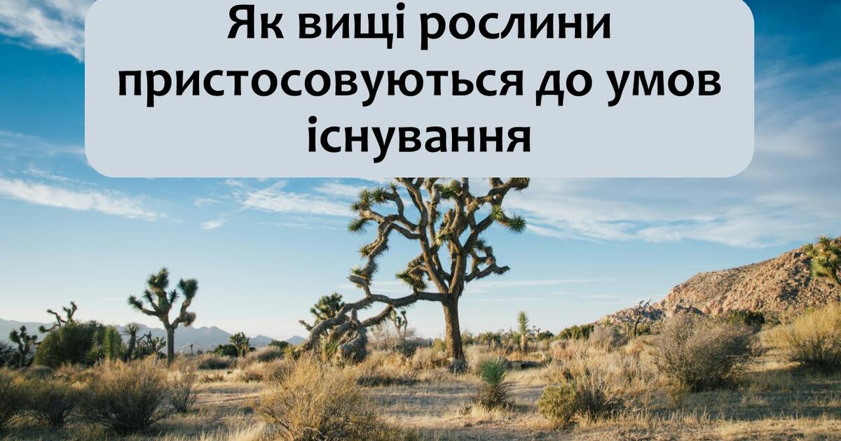 §21 Як вищі рослини пристосовуються до умов існування Біологія